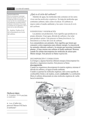 Ciclos en la naturaleza | PDF