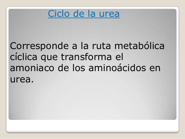 Ciclo de la urea