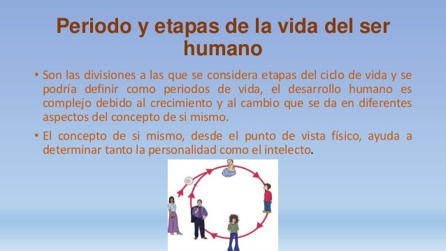 Ciclo de la vida de ser humano - Imagui