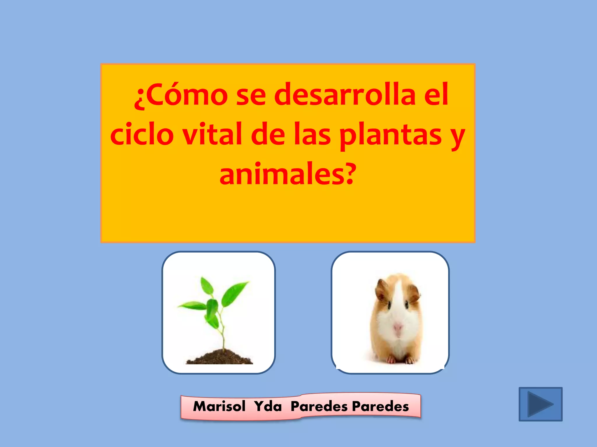 Ciclo vital de plantas y animales | PPTX