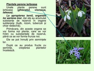 Ciclul de viata al plantelor | PPTX