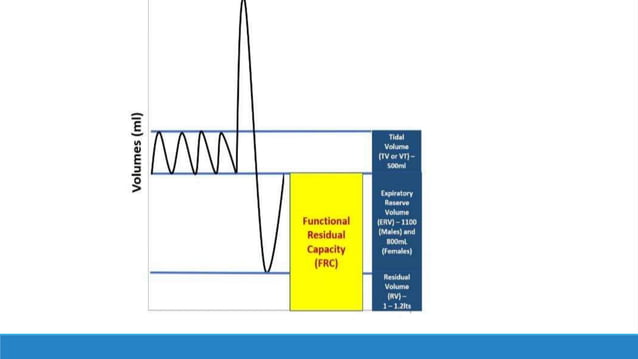 CICM FOT Theories and Reports interpretation slides (1) (1).pptx ...