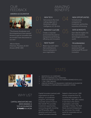 Capital Innovators Accelerator Programme Q1 2020 | PDF