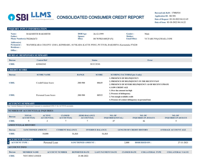 CIC Report.pdf