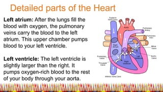 Circulatory System - Quarter 1 :Module 1 | PPTX
