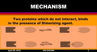CHEMICALLY INDUCED DIMERIZATION (CID SYSTEM) | PPTX