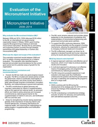 Cida lessons from evaluations | PDF