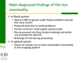 Rice value chain development 2005-2011: IPMS experiences in Fogera ...