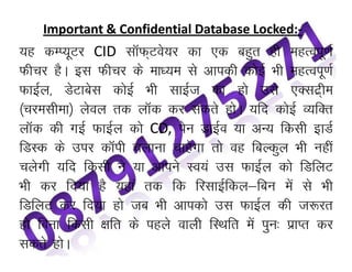 COMPUTER CID SOFTWARE | PDF