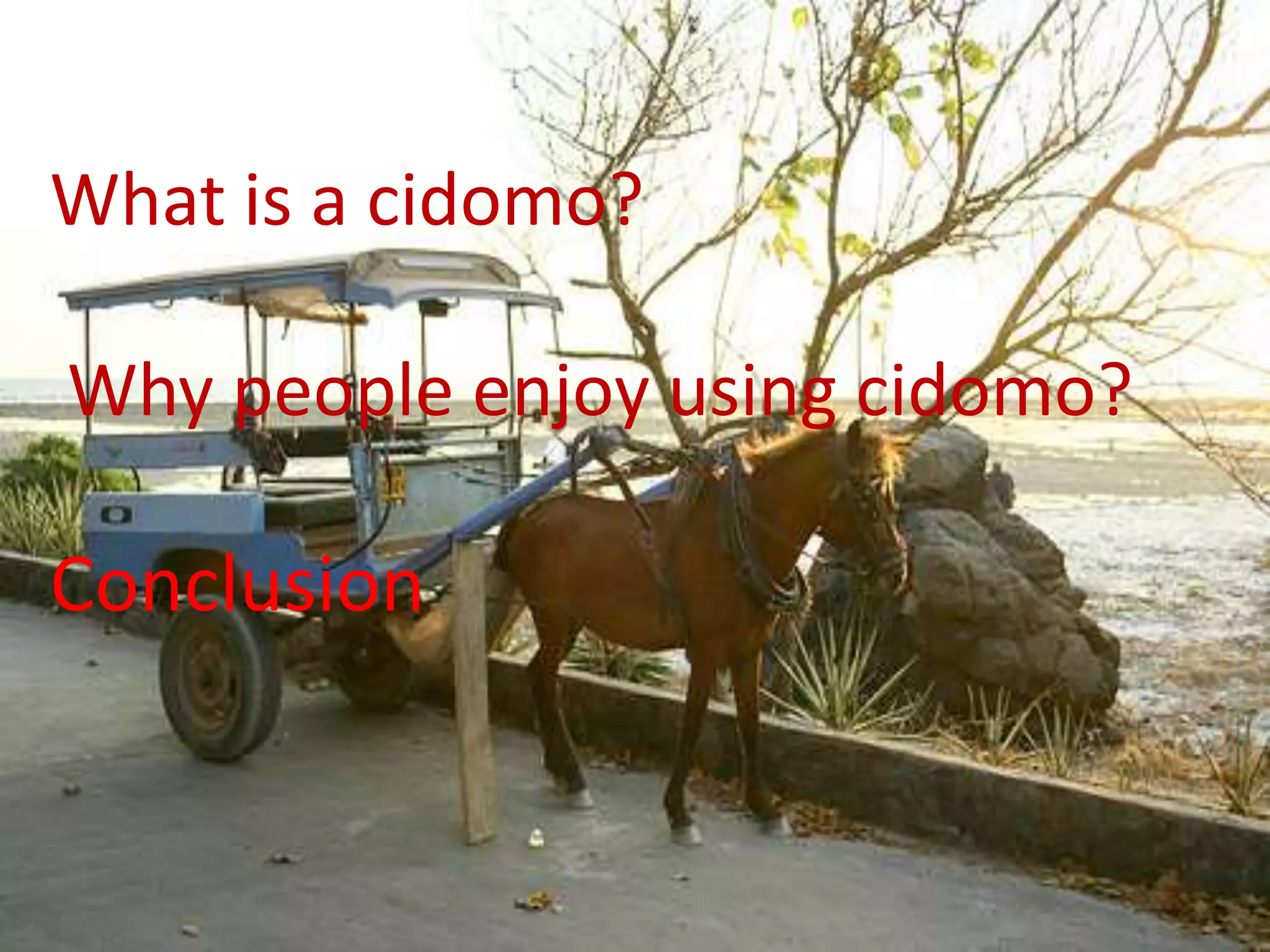 Cidomo.explanation by sholihin ramadhan | PPTX