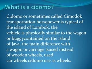 Cidomo.explanation by sholihin ramadhan | PPTX