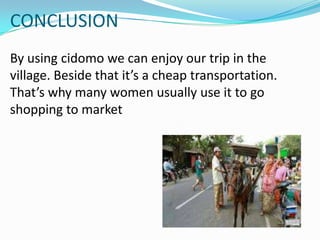 Cidomo.explanation by sholihin ramadhan | PPTX