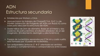 áCidos nucleicos | PPTX