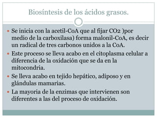 áCidos grasos | PPTX