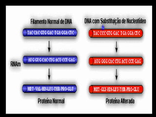 Ácidos Nucleicos (DNA e RNA) | PPT | Download Gratuito