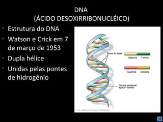 Ácidos Nucleicos (DNA e RNA) | PPT | Download Gratuito