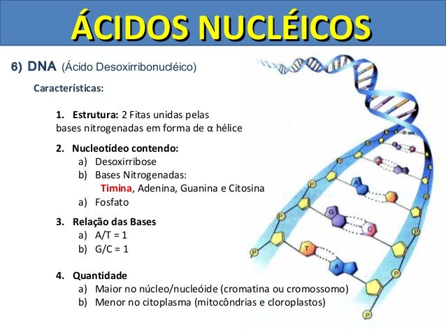 áCidos nucleicos dna e rna