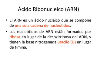 ácidos nucleicos y síntesis de proteínas | PPTX