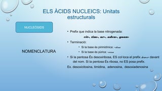 Àcids nucleics | PPT