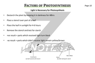 cie-igcse-biology-0610-atp-v2-znotes.pdf