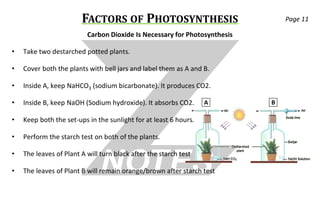 cie-igcse-biology-0610-atp-v2-znotes.pdf