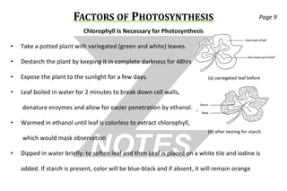 cie-igcse-biology-0610-atp-v2-znotes.pdf