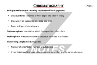 Cie igcse-chemistry-0620-atp-znotes | PDF