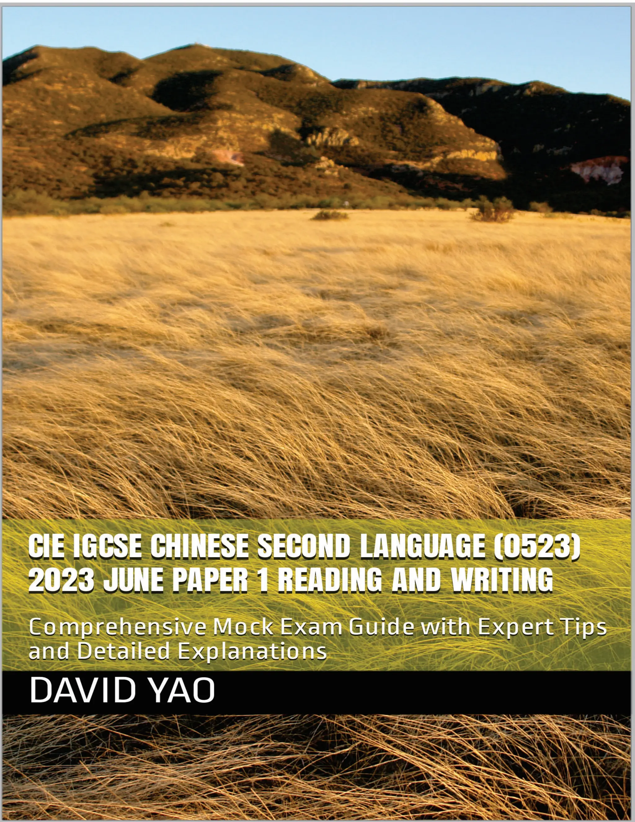 CIE IGCSE Chinese Second Language (0523) 2023 June Paper 1 Reading and Writing | PDF