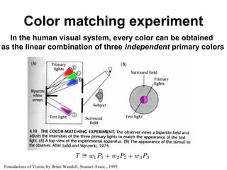 CIE color standards | PPT