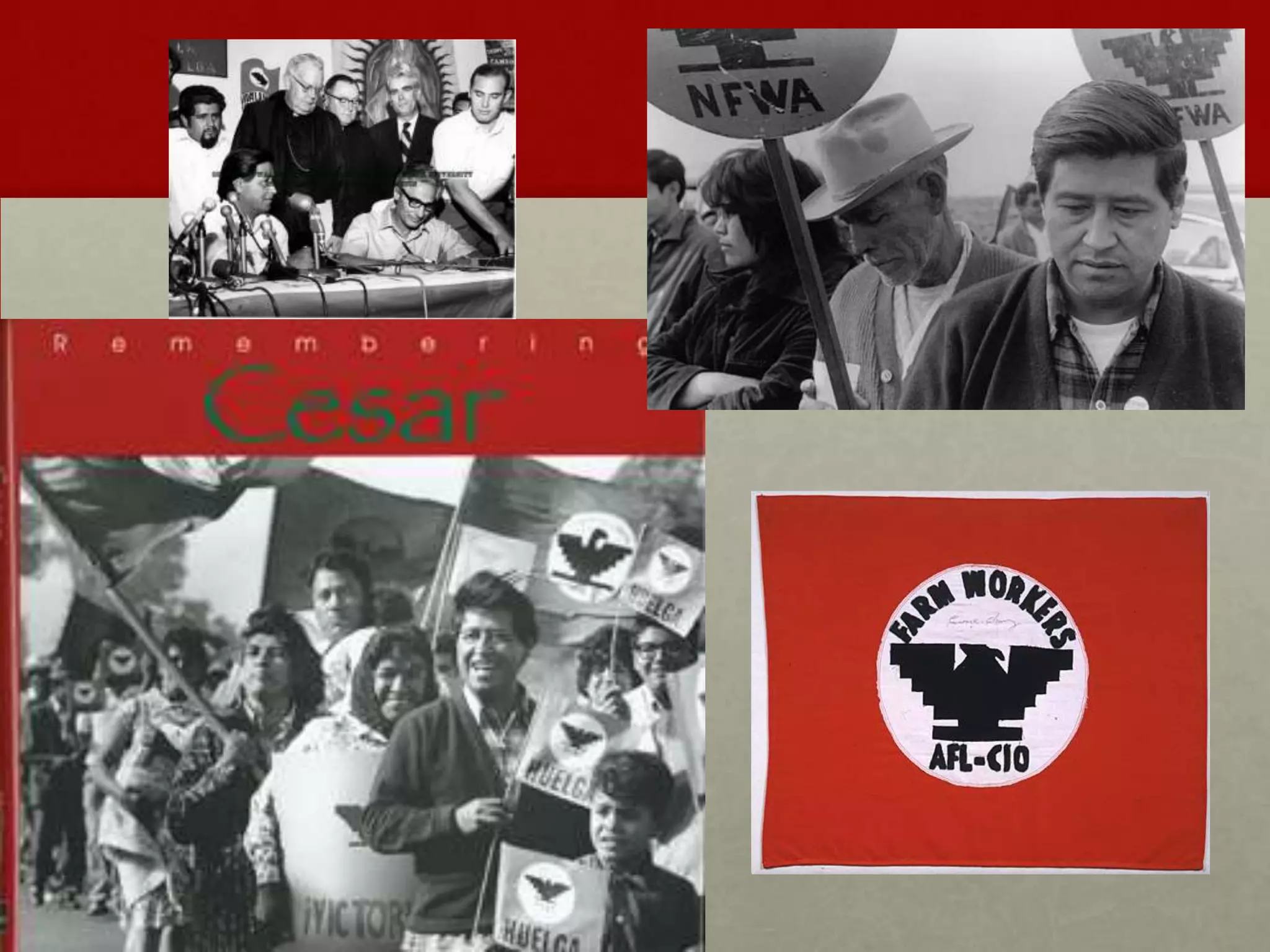 Cesar Chavez Presentation | PPTX