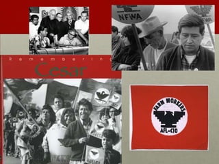 Cesar Chavez Presentation | PPTX