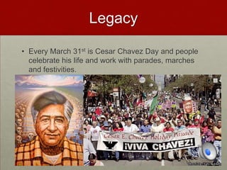 Cesar Chavez Presentation | PPTX