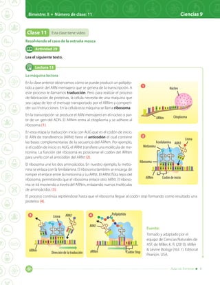 Cien 9 b2_p4_est_web | PDF