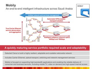 Ciena Overview | PDF