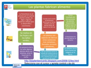 Ciencia 3 er bim3ero | PPTX
