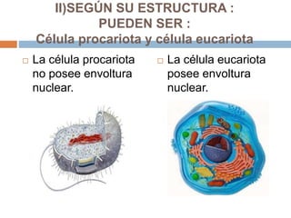 Ciencia_LA_CELULA, partes, funciones nes | PPTX