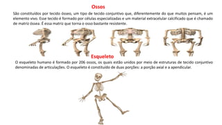 Ciencias corpo humano | PPTX