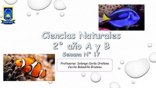 Ciencias-Naturales-SEMANA-17-Los-peces.pdf