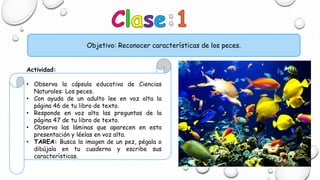 Ciencias-Naturales-SEMANA-17-Los-peces.pdf