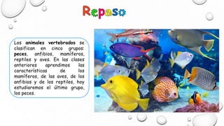 Ciencias-Naturales-SEMANA-17-Los-peces.pdf