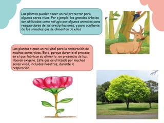 ciencias 3 basico 11 marzo.pptx