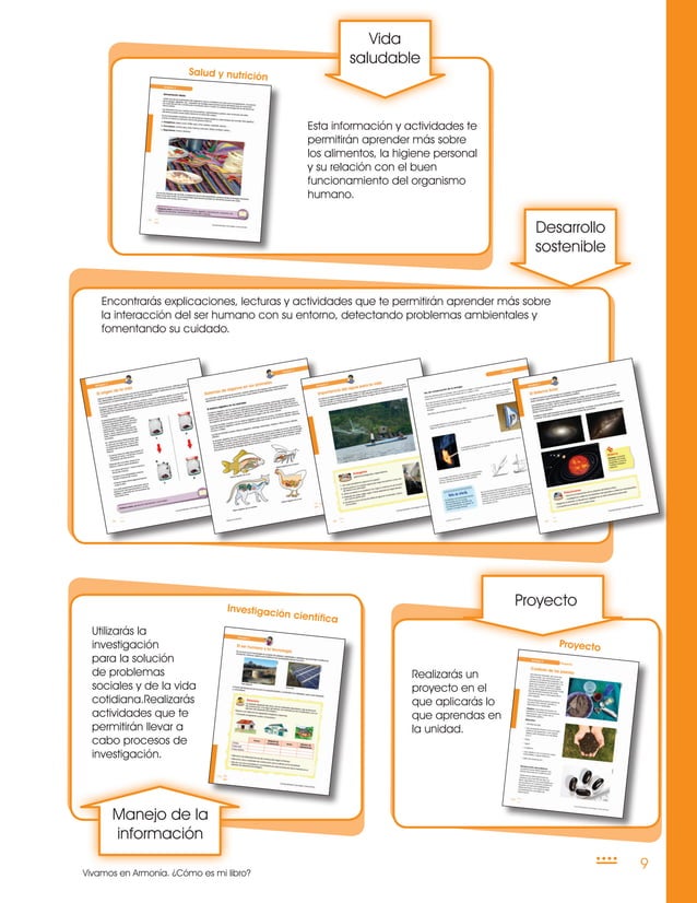 Ciencias 4to grado | PDF