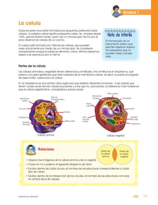 Ciencias 4to grado | PDF
