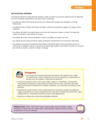 Ciencias 4to grado | PDF