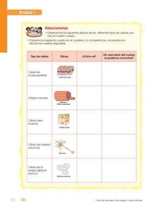 Ciencias 4to grado | PDF