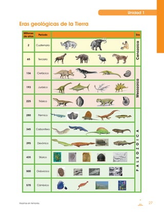 Ciencias 4to grado | PDF