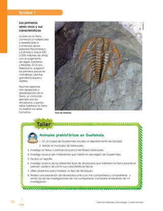 Ciencias 4to grado | PDF