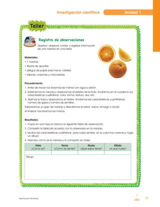 Ciencias 4to grado | PDF