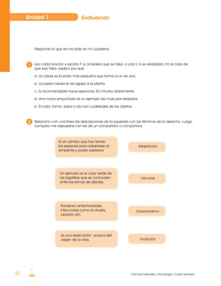 Ciencias 4to grado | PDF