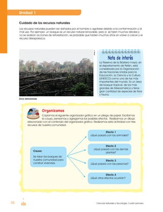 Ciencias 4to grado | PDF